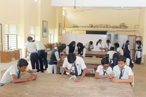 MAM Model School